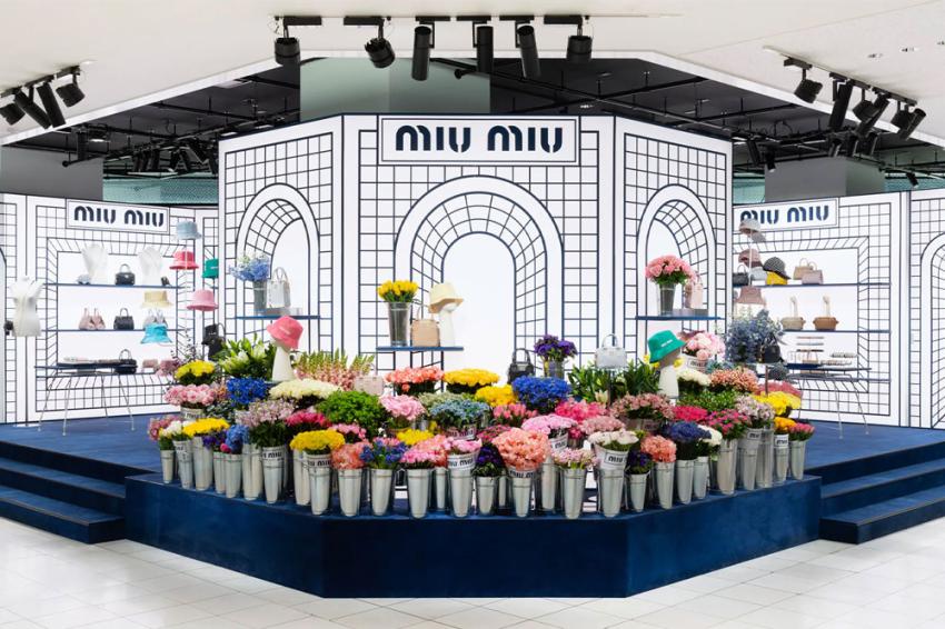 Most Popular Styles Miu Miu Sale | Legendary11